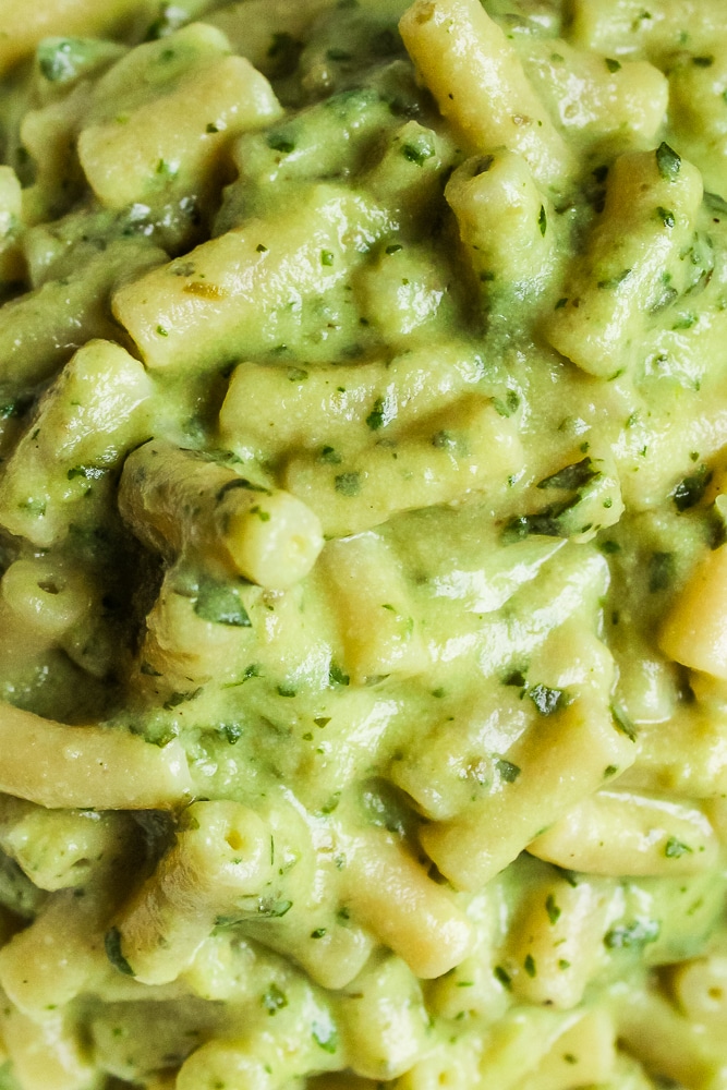 Green Macaroni And Cheese Green Mac And Cheese | Jamie Oliver Recipe