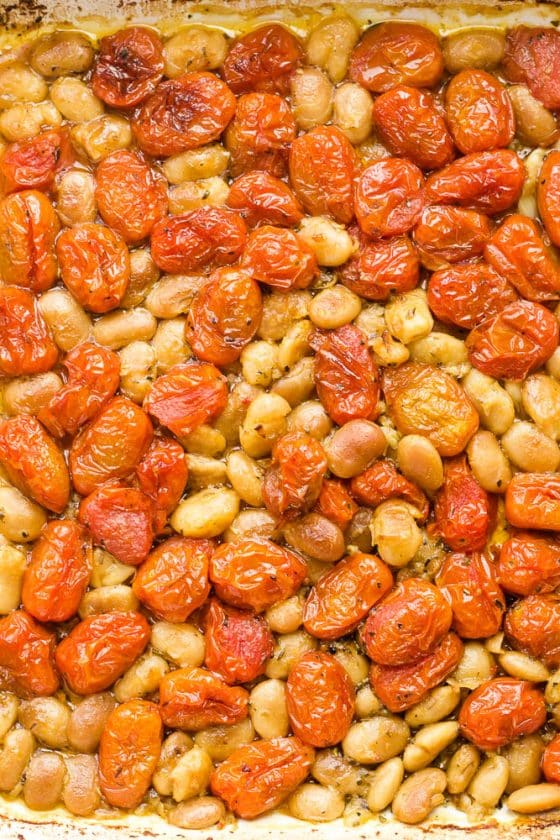 Burrata Bowls - Happy Veggie Kitchen