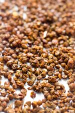 Smoky Roasted Lentils - Happy Veggie Kitchen