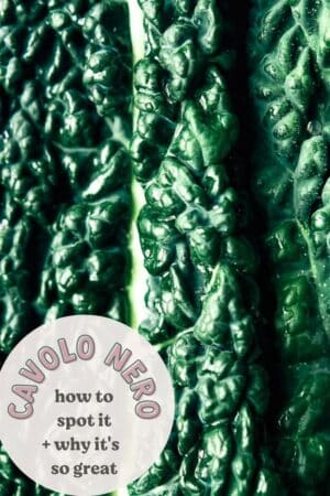 How to Cook Cavolo Nero - Happy Veggie Kitchen