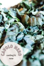 How to Cook Cavolo Nero - Happy Veggie Kitchen