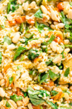 Roasted Tomato & White Bean Risotto - Happy Veggie Kitchen