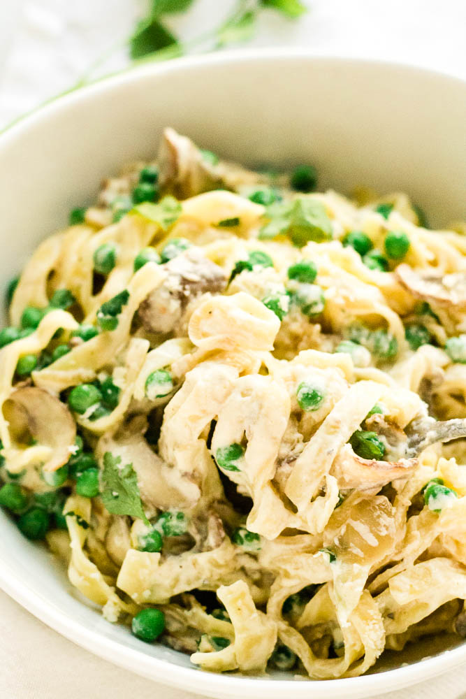 Truffle Cheese Pasta Happy Veggie Kitchen Truffle Cheese Pasta Happy Veggie Kitchen