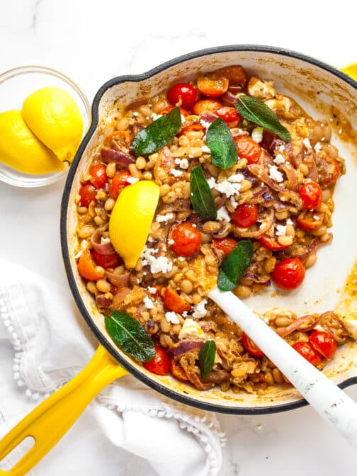 Happy Veggie Kitchen | Easy + Delicious Vegetarian Recipes