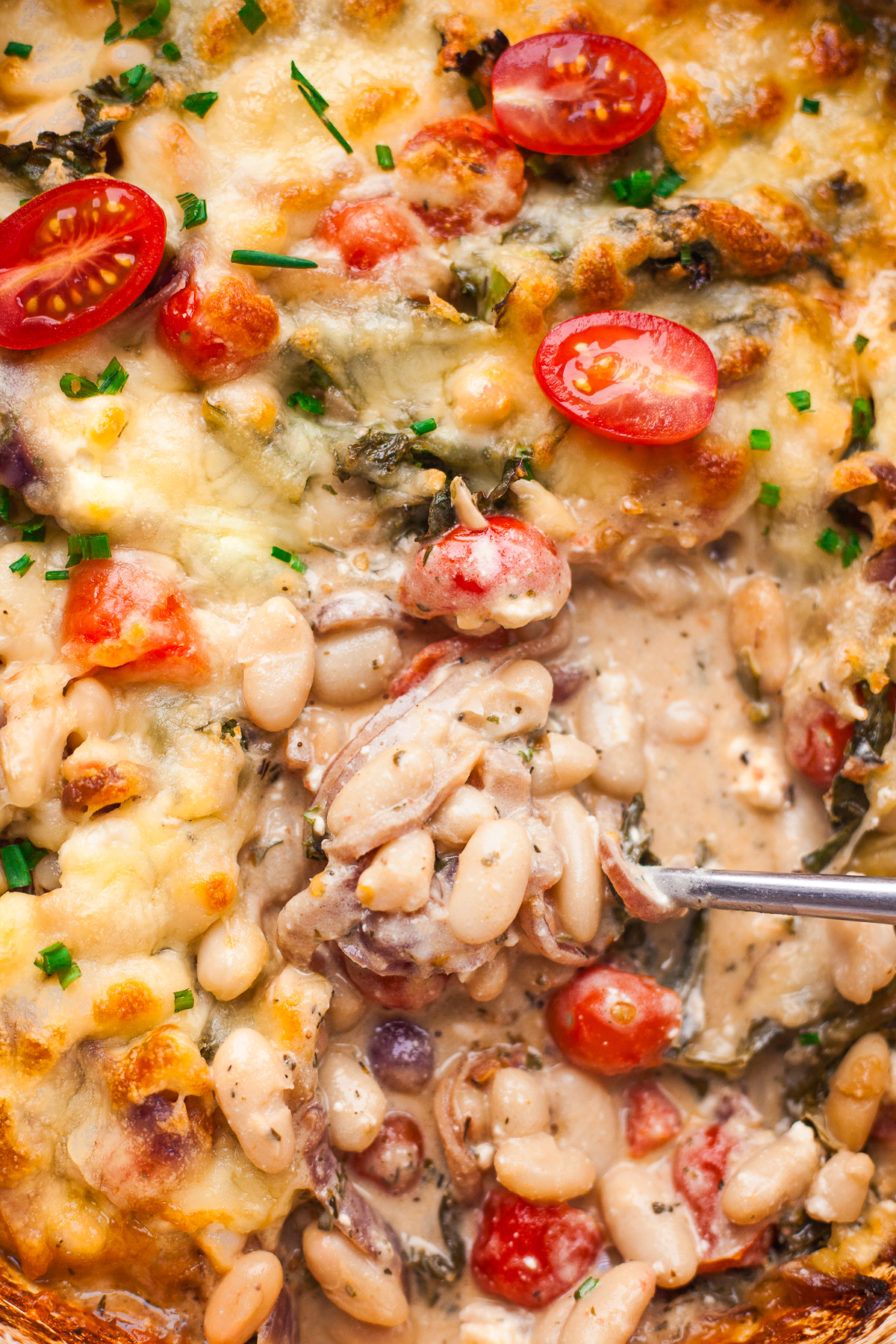 Cheesy White Bean Tomato Bake - Happy Veggie Kitchen