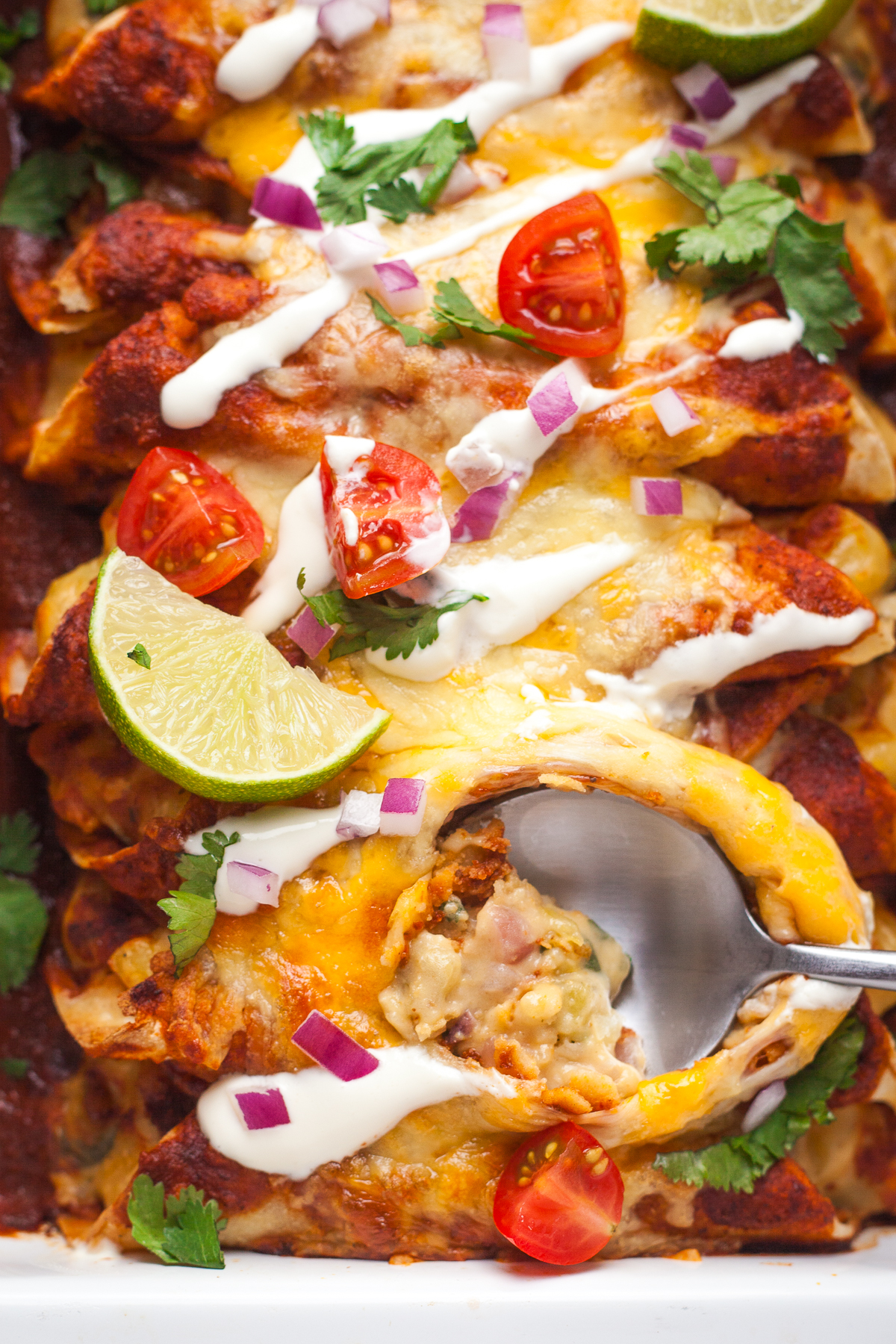 Cheesy Potato Enchiladas - Happy Veggie Kitchen