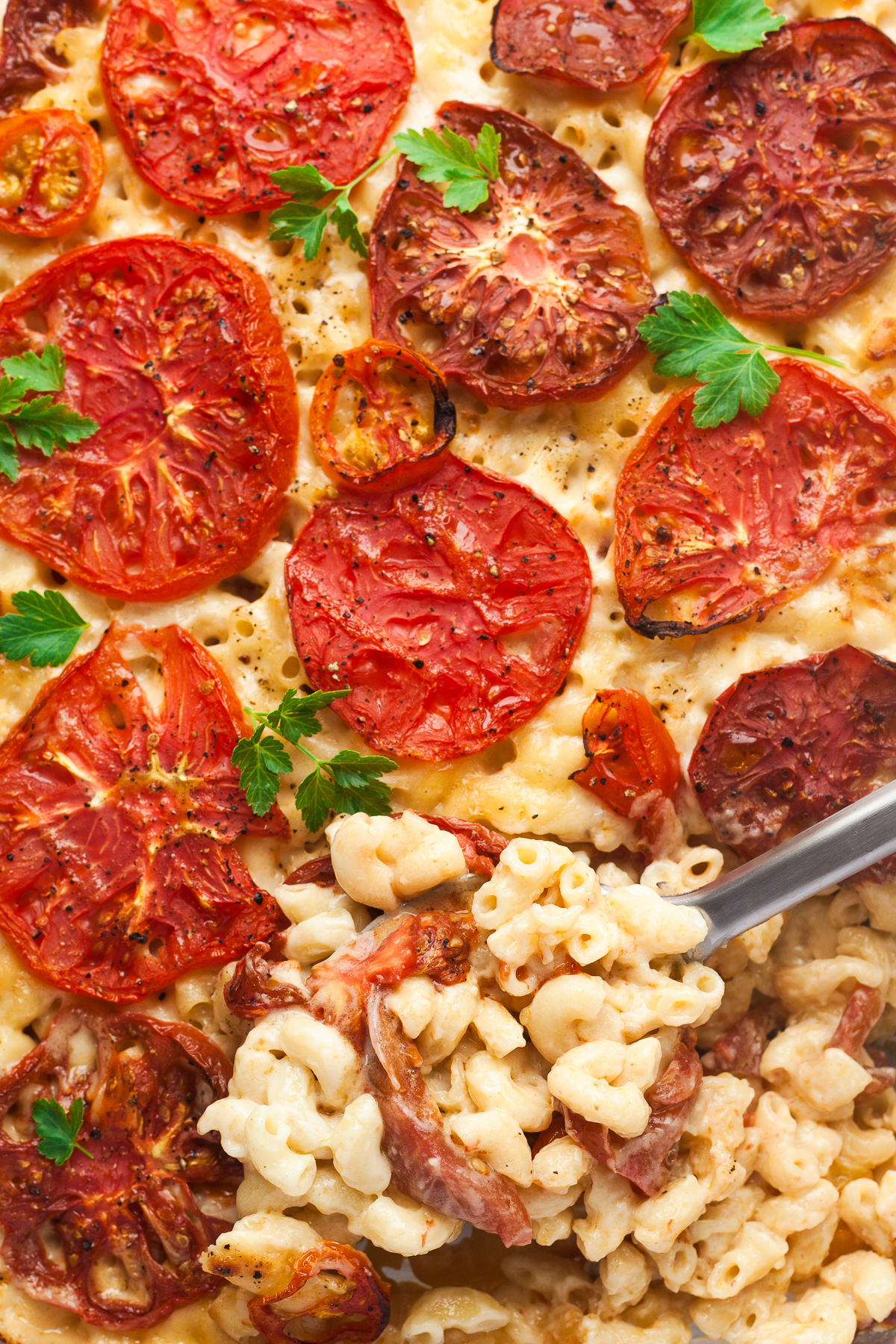 Baked Tomato Mac and Cheese - Happy Veggie Kitchen